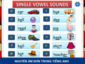 Tổng Quan Về Nguyên Âm và Phụ Âm Trong Tiếng Anh: Hướng Dẫn Cụ Thể Cho ...