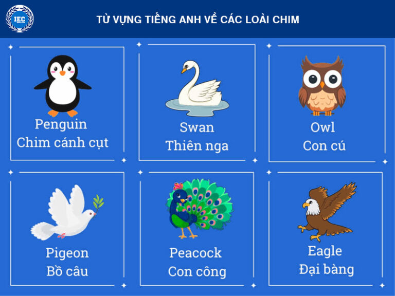 Tổng Hợp Từ Vựng Các Con Vật Bằng Tiếng Anh Đầy Đủ Và Phổ Biến Nhất ...