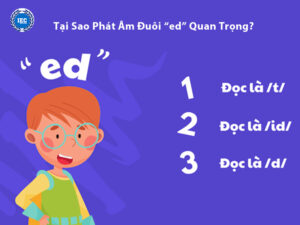 Hướng Dẫn Chi Tiết Cách Phát Âm Đuôi "ed" Chuẩn: Quy Tắc, Mẹo Ghi Nhớ ...