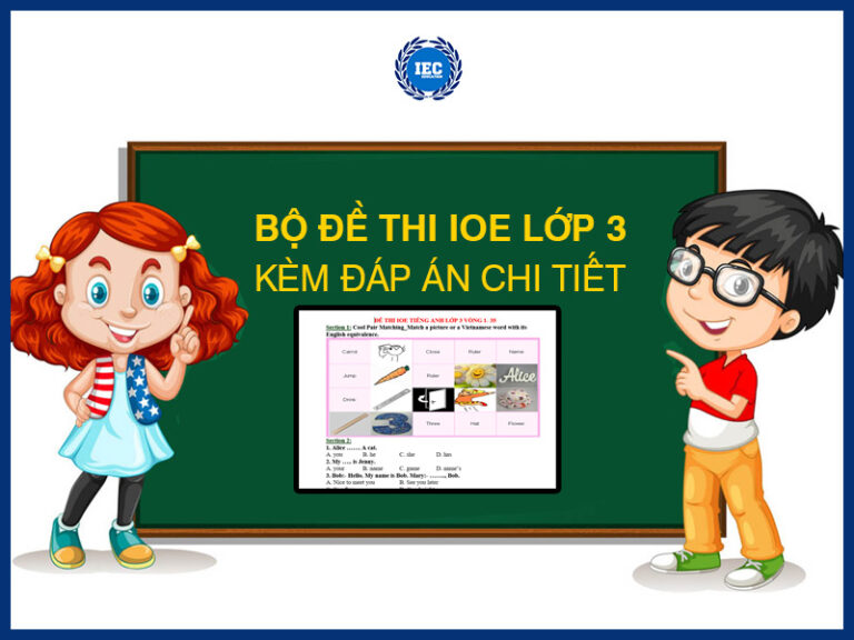 IOE Lớp 3: Tổng Hợp Tài Liệu Và Bí Quyết Luyện Thi IOE Lớp 3 Đầy Đủ Nhất