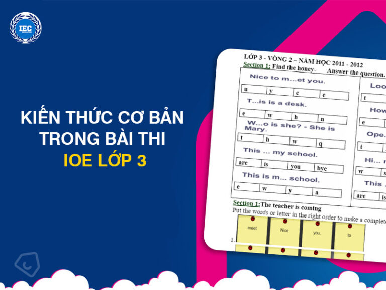 IOE Lớp 3: Tổng Hợp Tài Liệu Và Bí Quyết Luyện Thi IOE Lớp 3 Đầy Đủ Nhất